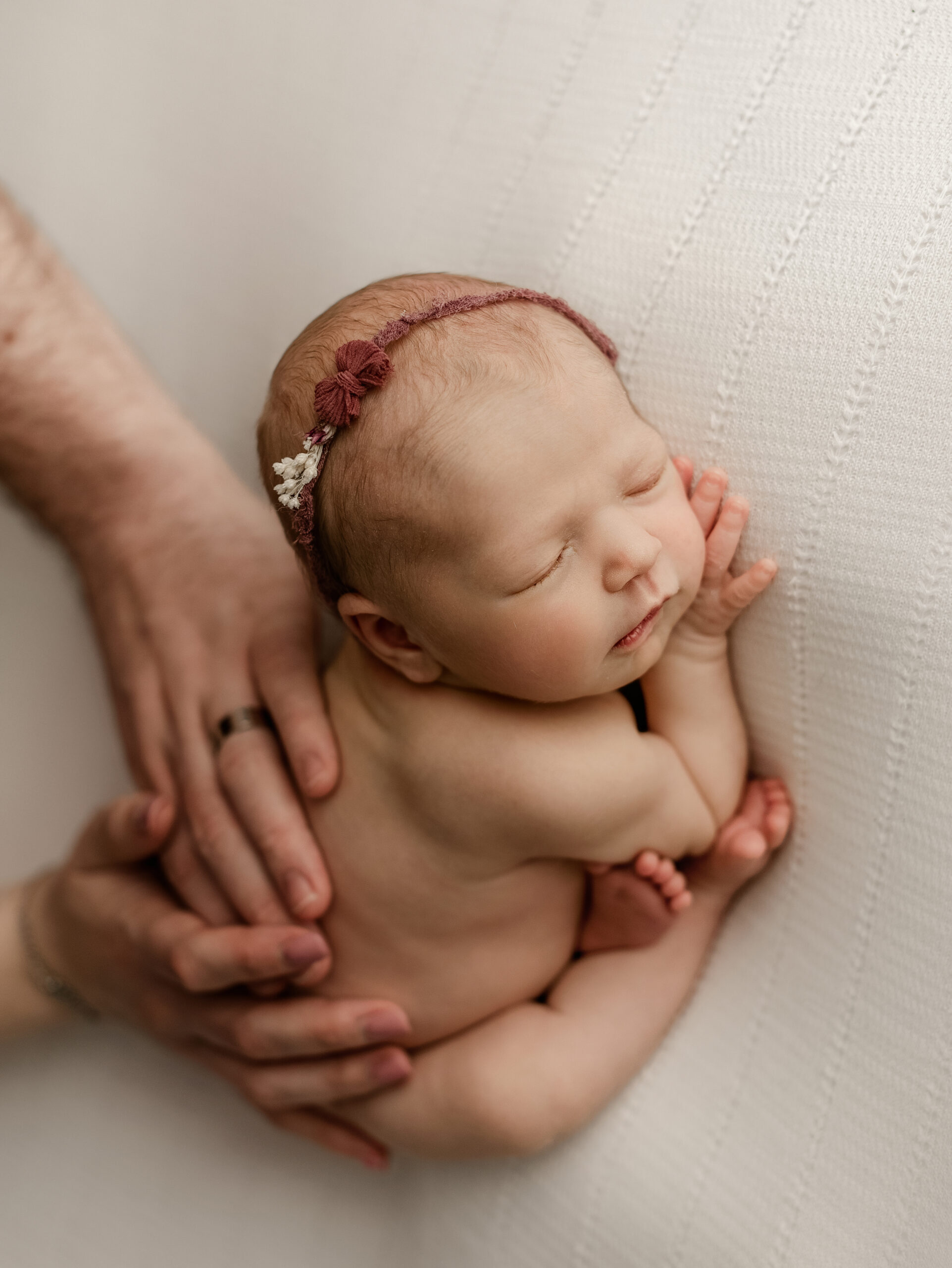 Newborn Photographer in Denver - Organic Bebe Photography BLOG